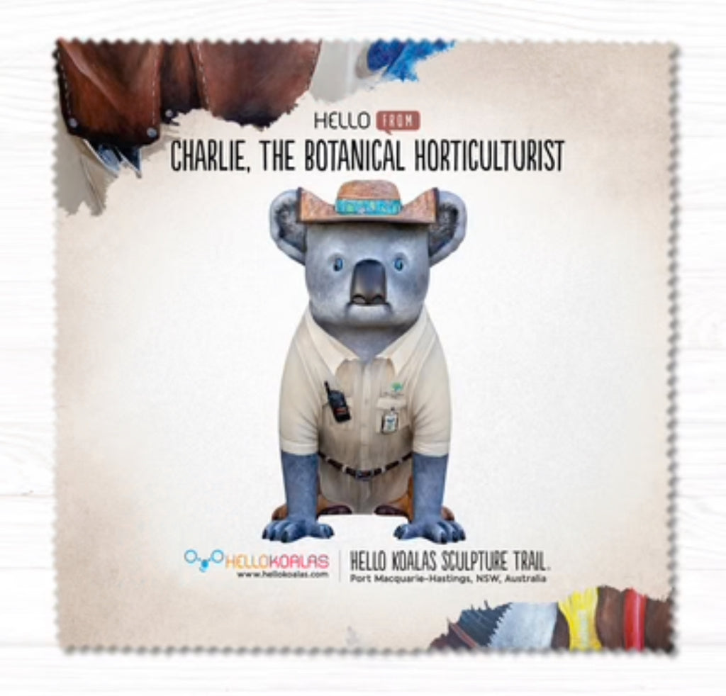 Glass Cleaning Cloths – Hello Koalas Gallery + Gift Shop